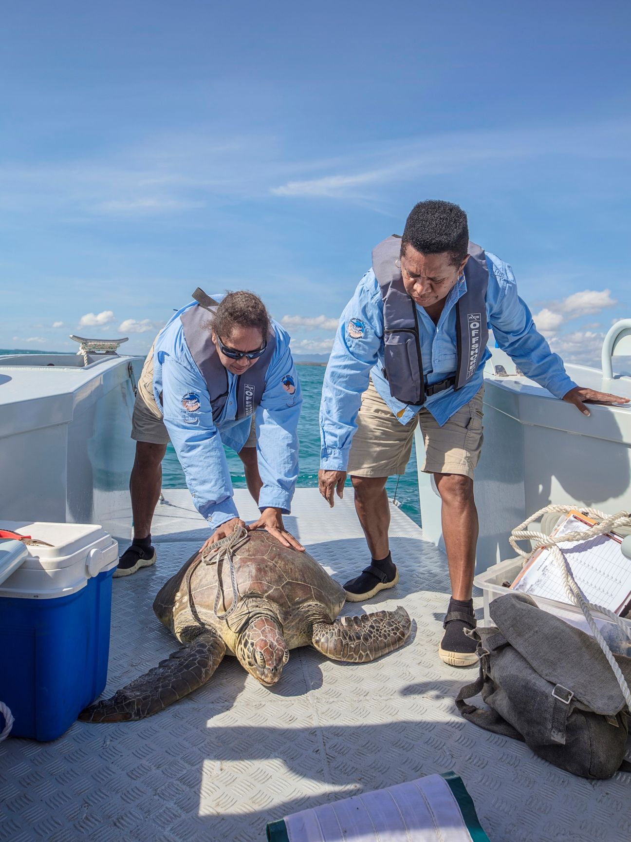 About our Great Barrier Reef | Protecting the Great Barrier Reef